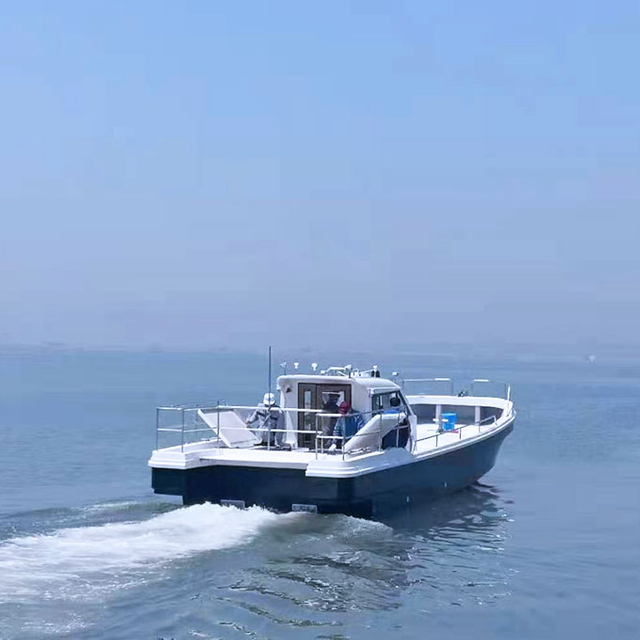 Marine Propulsion Systems Supplier From China - TSD Surface Drive